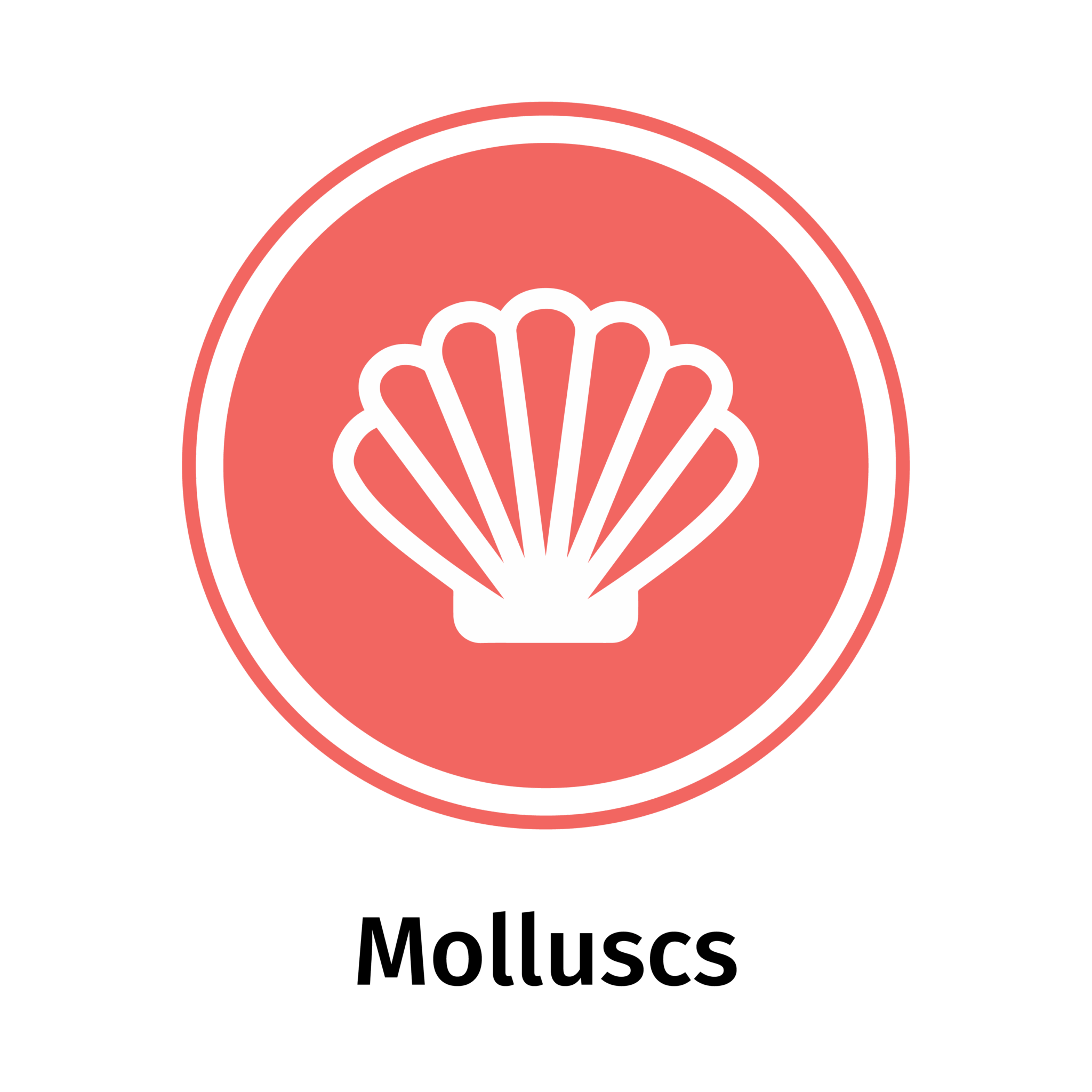 The 14 Allergens - Food Allergy Friends